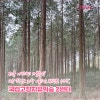 고창 가볼만한 곳 편백향 가득한 ‘국립고창치유의숲 2센터 둘러보기 네이버 블로그